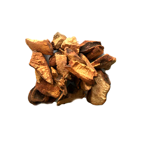 CHANEY ROOT JAMAICAN BITTER HERB BLOOD CLEANSER ANEMIA EXCESSIVE ...