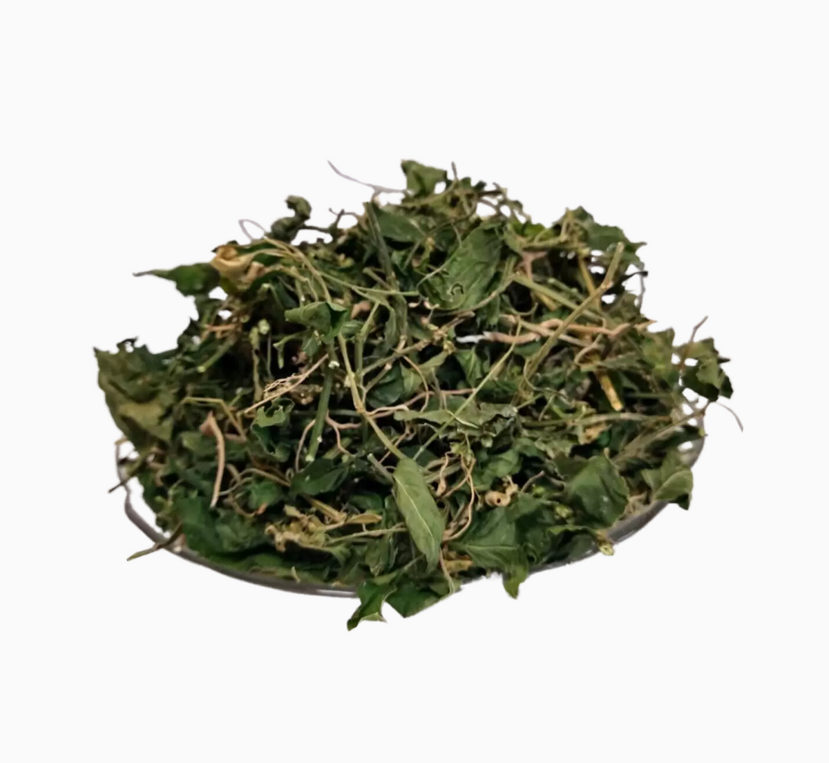 DOG BLOOD JAMAICAN HERBAL TEA REDUCE SHRINK FIBROIDS YEAST INFECTIONS ...